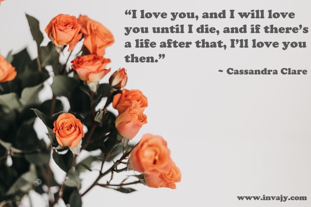 125 Love Quotes to Say I love You on Valentine's Day