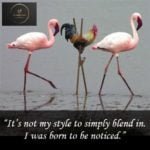 140 Swag Quotes to Show Attitude and Express Yourself Differently