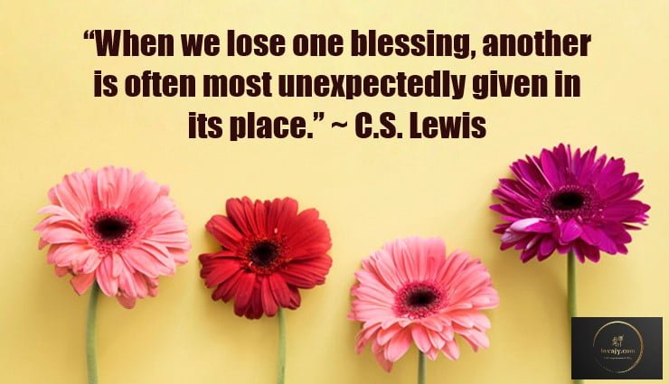 90 Blessed Quotes to Appreciate Your Everyday Blessings
