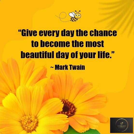 186 Beautiful Quotes by Famous People