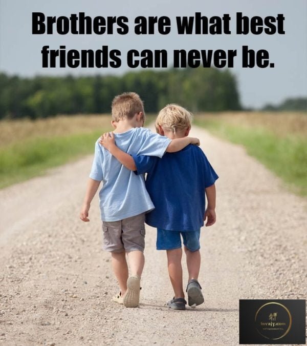 90 Brother Quotes to Express Your Love and Sibling Bond