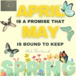 117 April Quotes to Get into The Spirit of The Spring Season