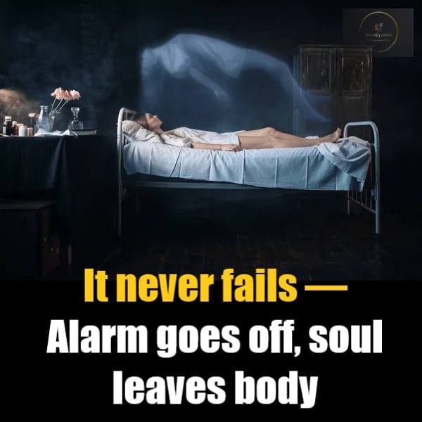 35 Good Morning Memes to Start Your Day With a Laugh