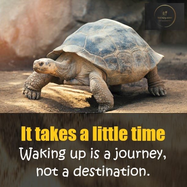 35 Good Morning Memes to Start Your Day With a Laugh