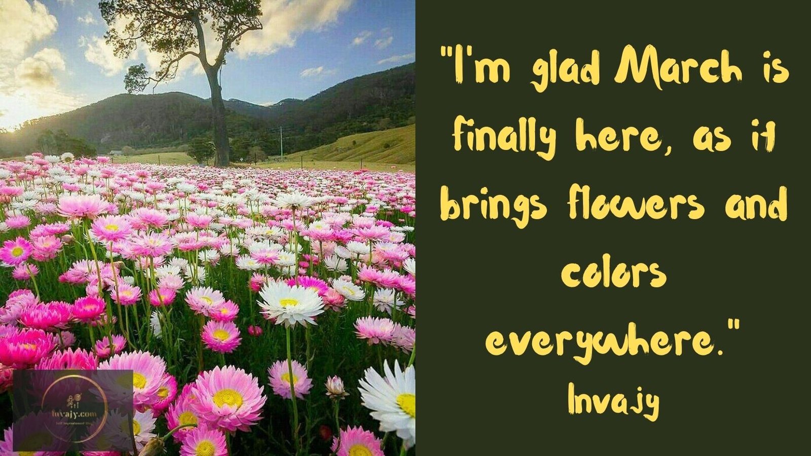 60 March Quotes to Welcome Spring with Joy and Gratitude