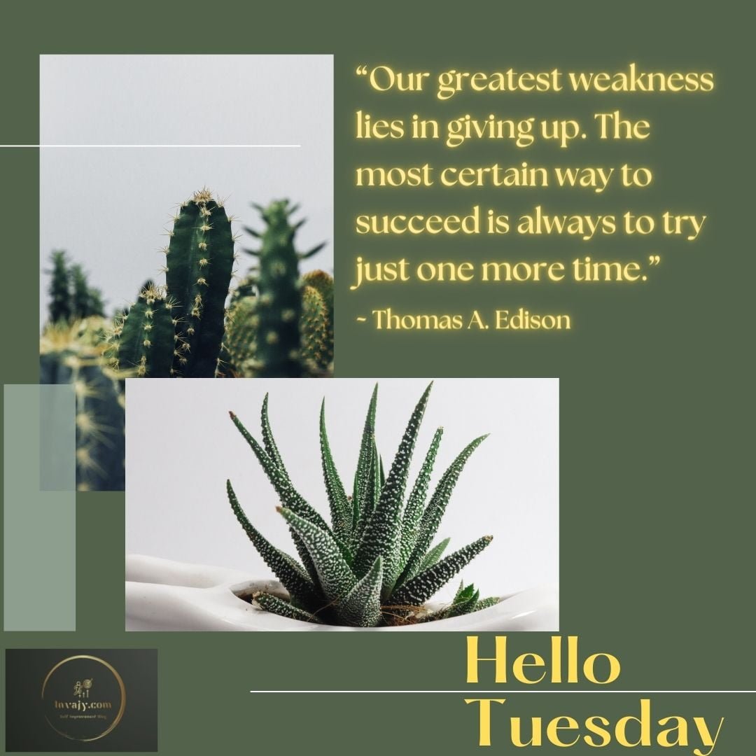 136 Tuesday Quotes to Stay Motivated During the Weekdays